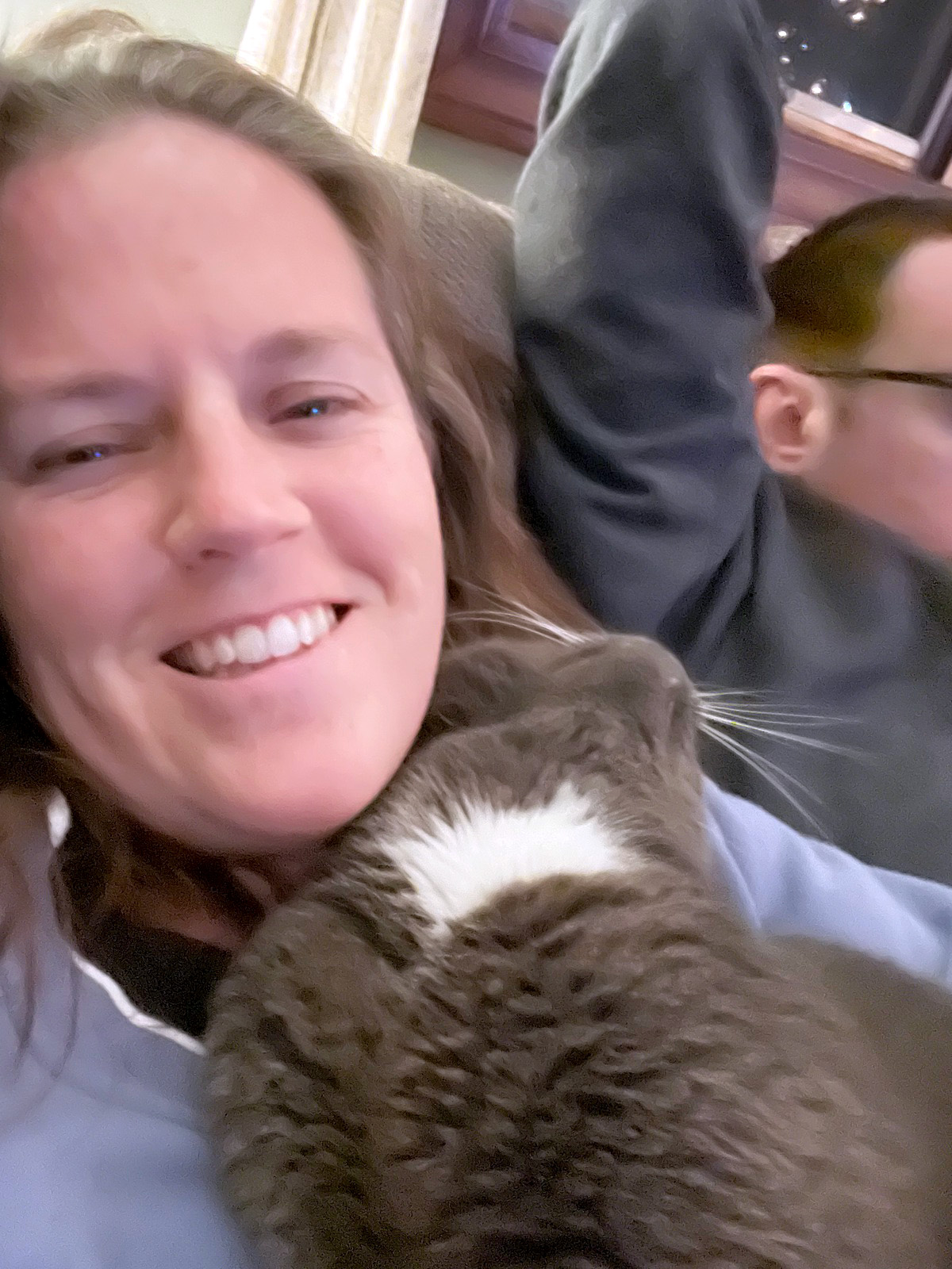 About this Cat: Sunny — ADOPTED – The Feline Connection