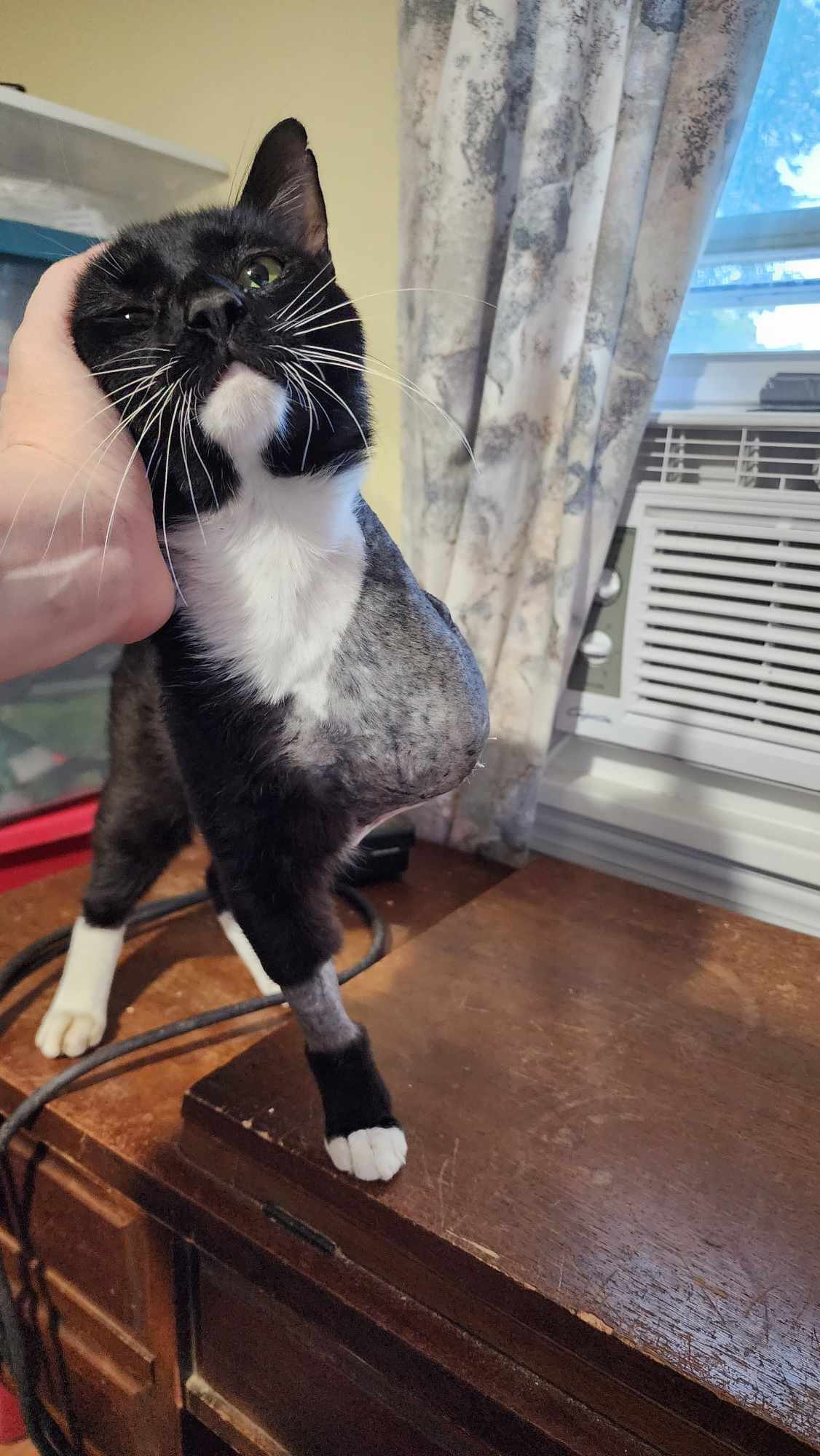 ‘Funds to the Rescue’ – (4) Surviving the Great Outdoors: Common ...