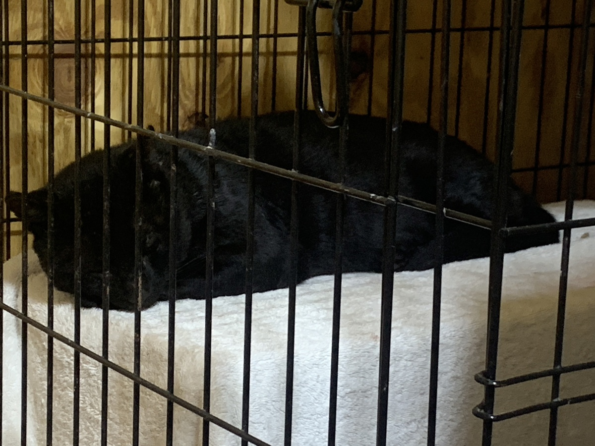 ‘Funds to the Rescue’ – (4) Surviving the Great Outdoors: Common ...