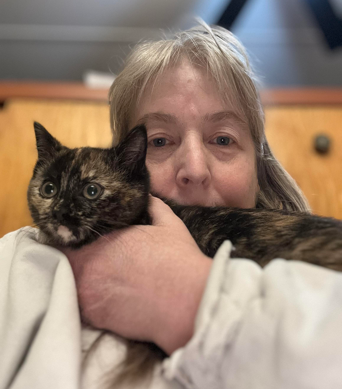 About this Cat: Berry Backlash – a “Convenience Store” kitten – ADOPTED ...